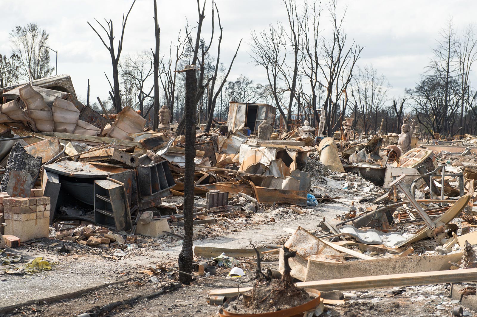 After Wildfires Ignite in California