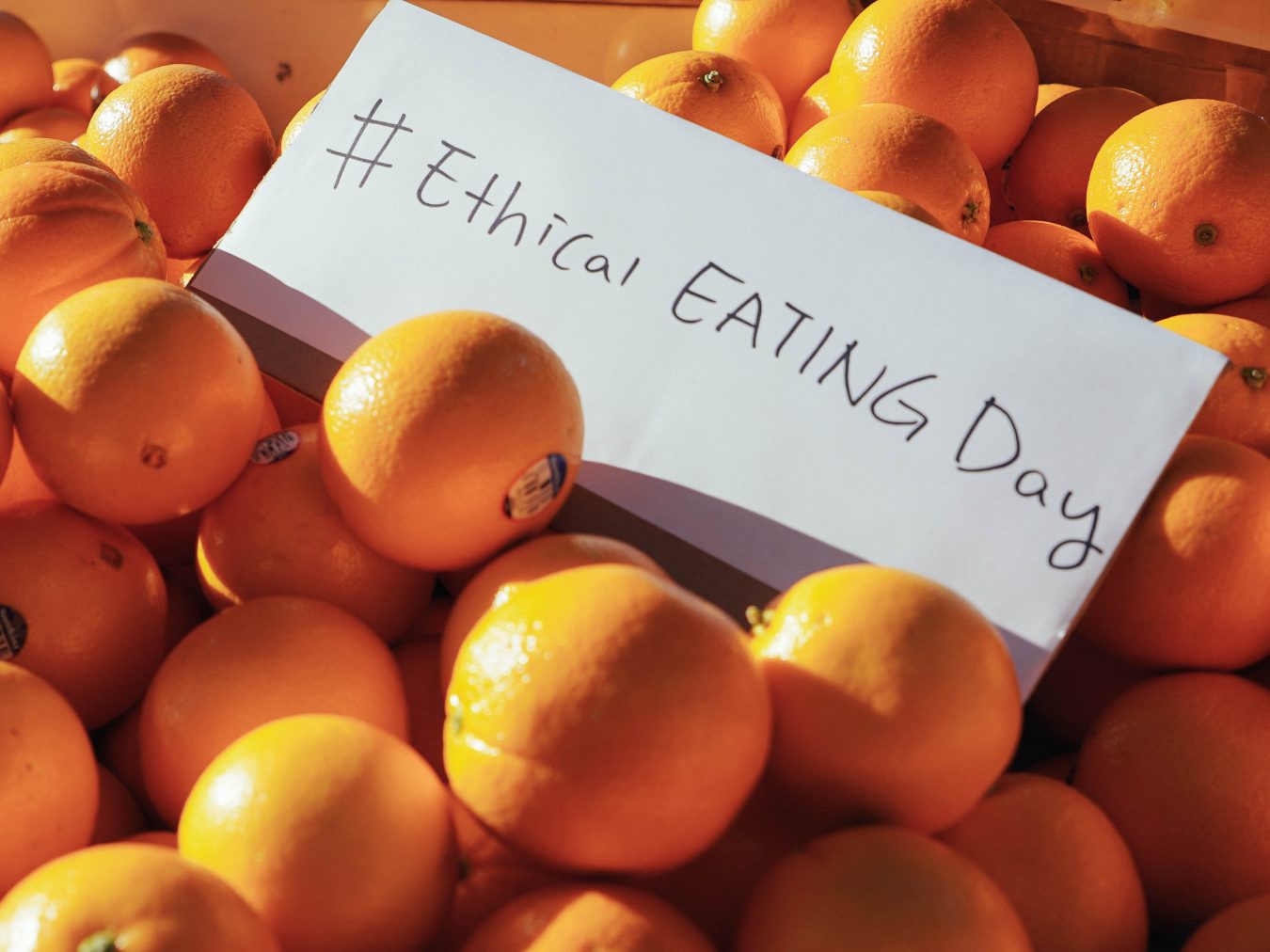 The Start of an Ethical Eating Movement