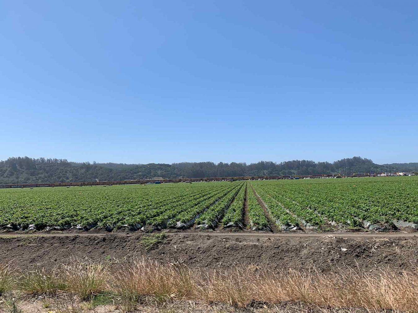A Journey Bringing PPE to California’s Agricultural Regions