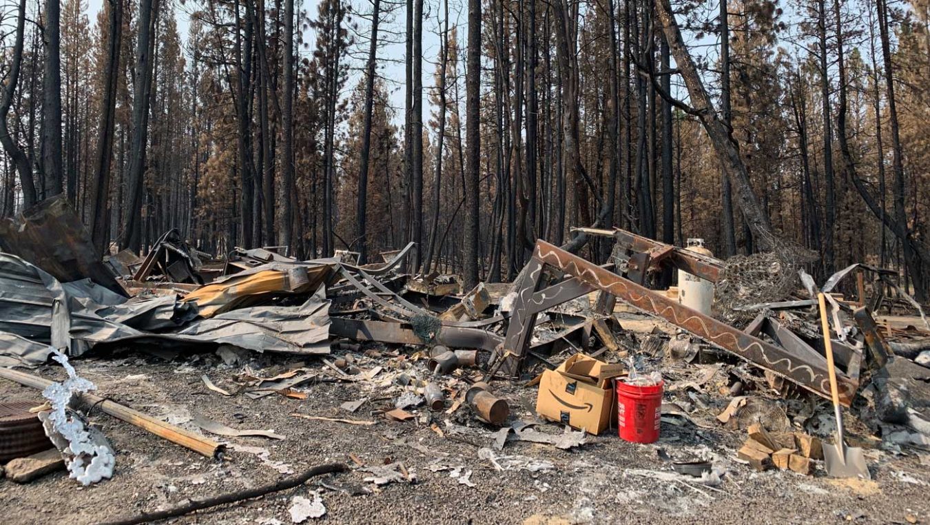 Portland Volunteers Assess Conditions After the Bootleg Fire in Oregon