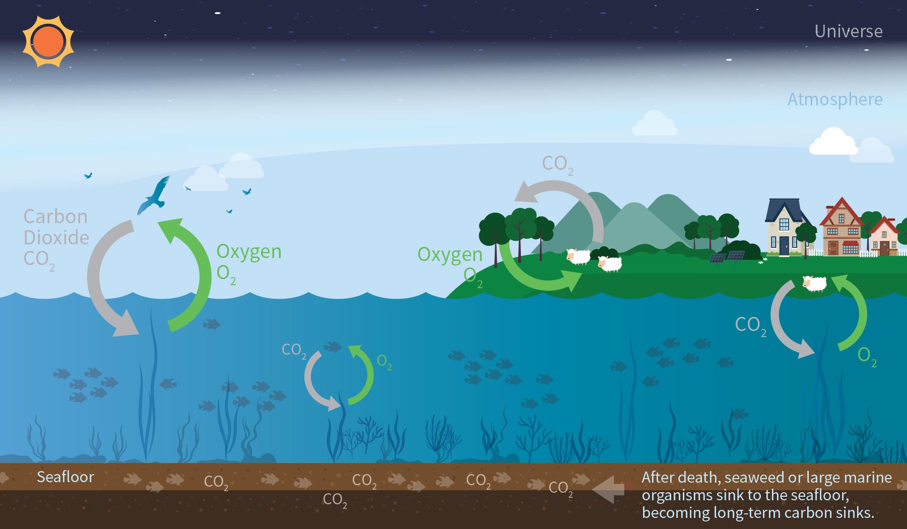 Look to the Oceans: Uncovering the Mechanisms of a Warming World